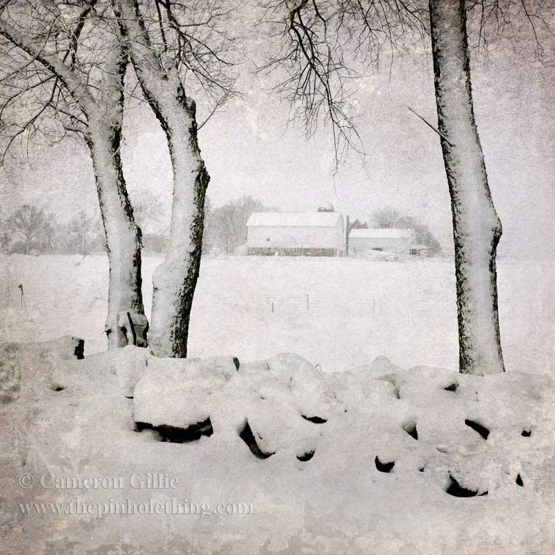 Snow day photos at the Pope Farm Conservancy | The Pinhole Thing